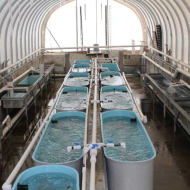 GB Series™ - Gable Fabric Buildings Redefined - Alaska Structures