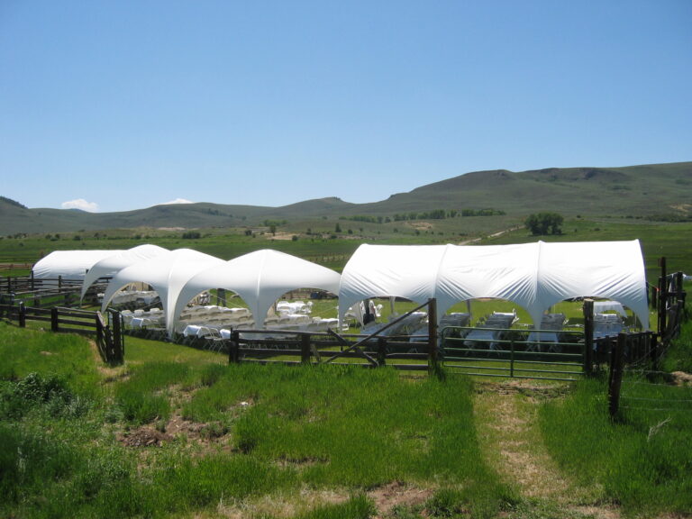 Weatherport Outdoor Event Structures | Alaska Structures